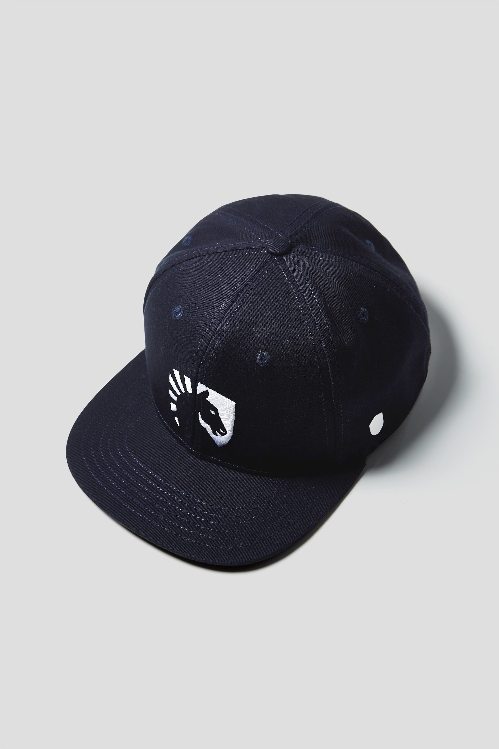 LIQUID SNAPBACK HAT – Team Liquid Europe